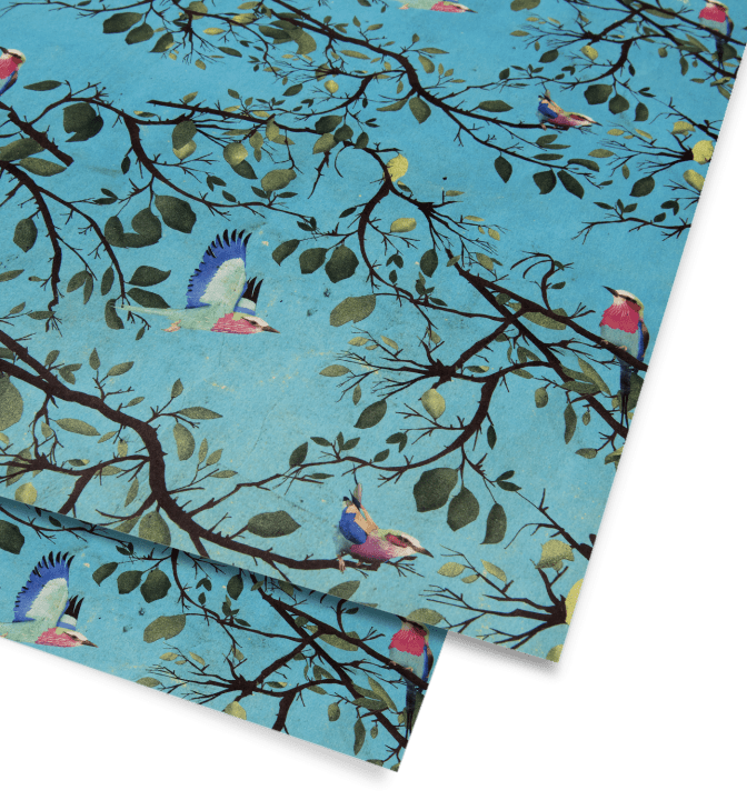 Holler bird wrapping paper – The Paperdashery